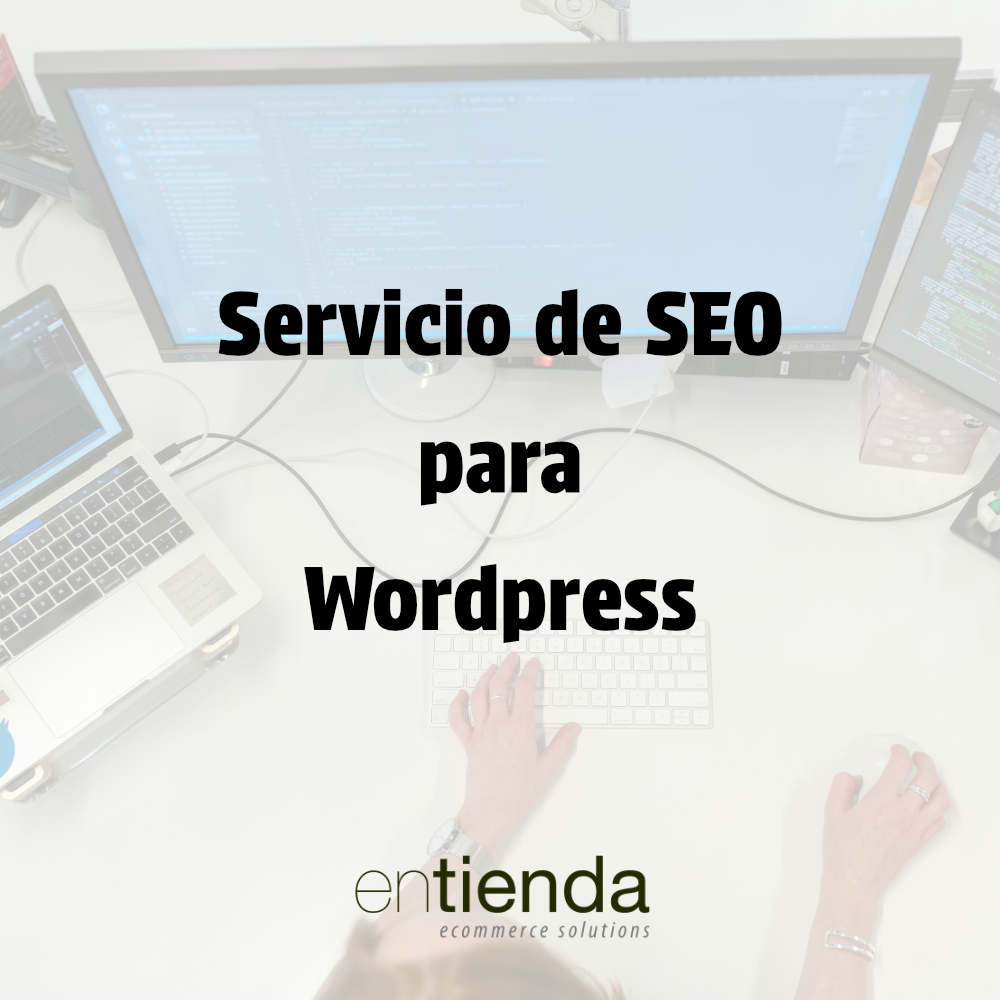 SEO WordPress Profesional Chile - Posicionamiento Web | Entienda.cl