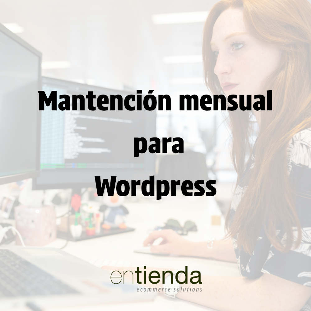 Mantención Mensual WordPress | Soporte y Actualizaciones | Entienda